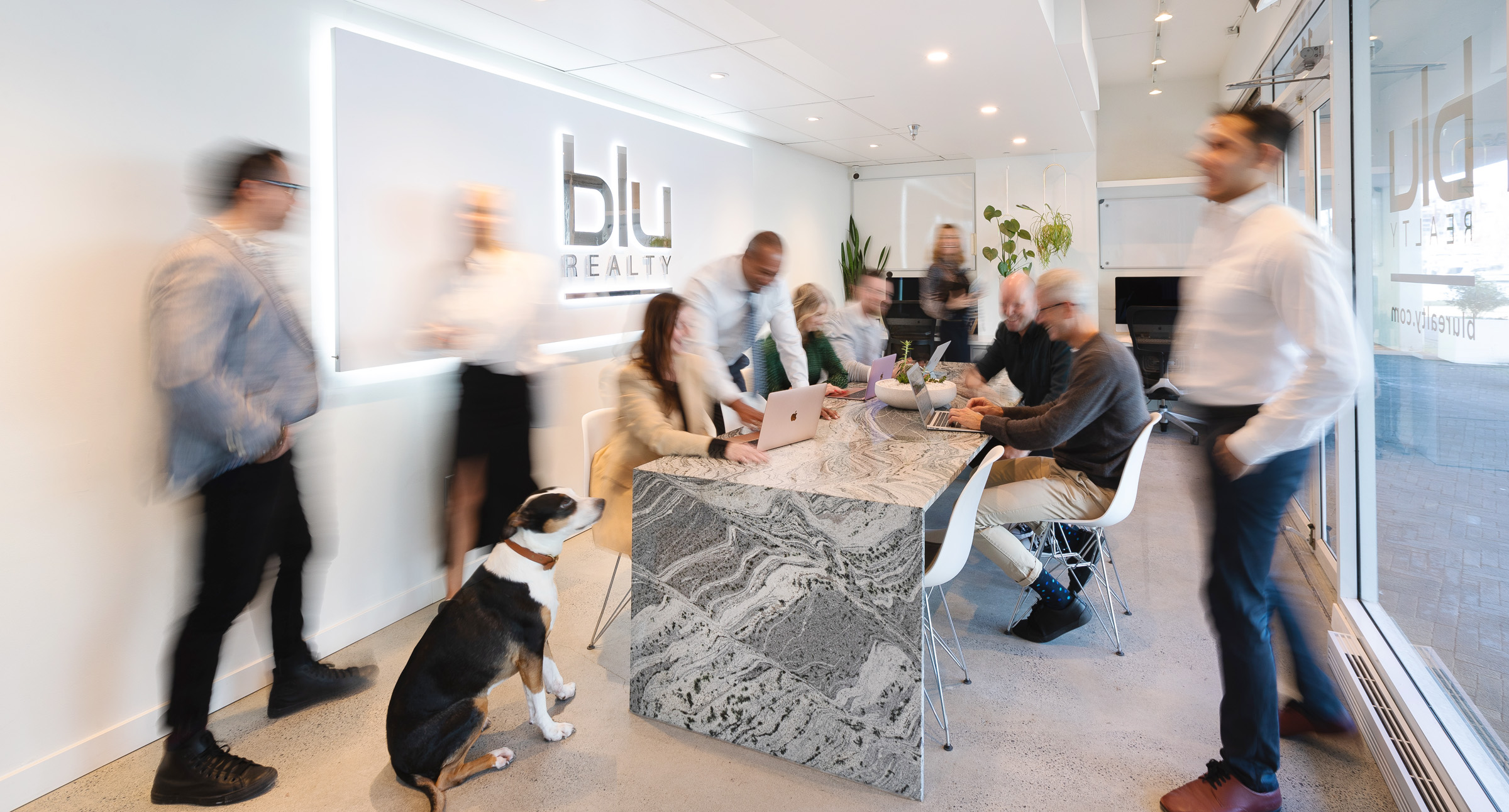 Our Team - Blu Realty